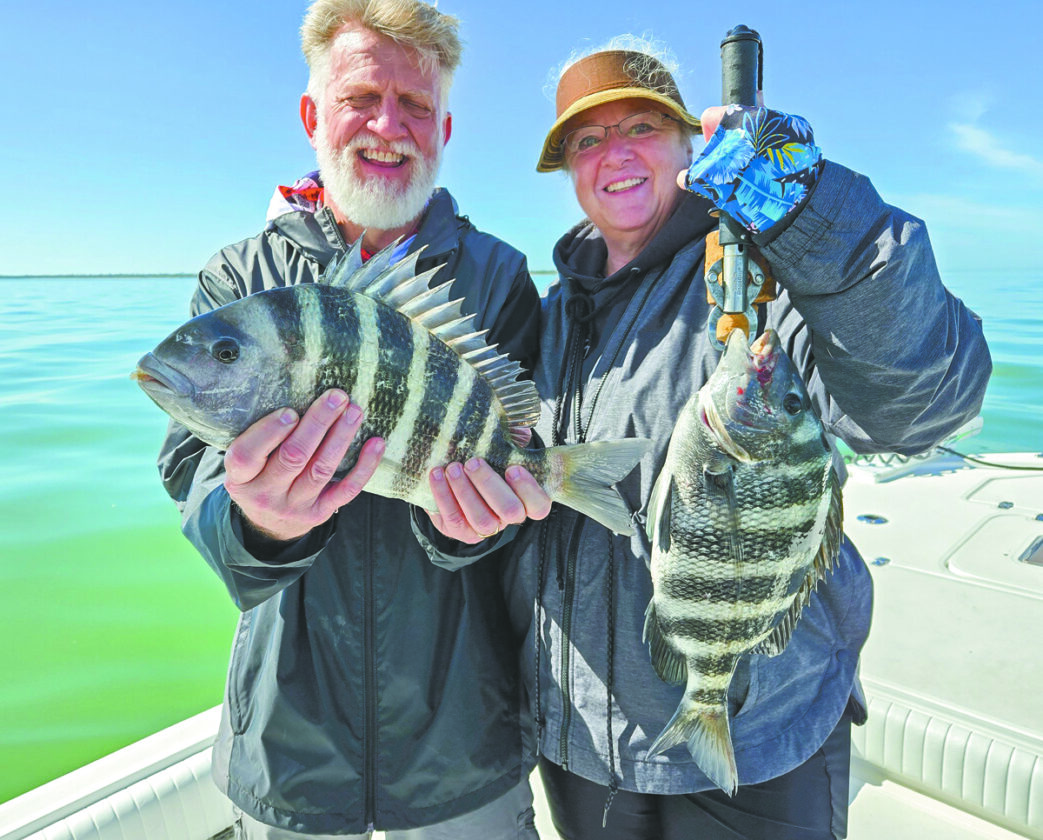 On the Water: February is best time to fish for sheepshead - Pineisland ...